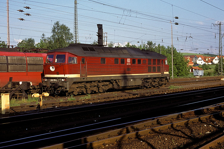 br232.com - Foto LTS 0392